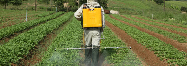 What makes a good backpack sprayer? - The Pro Sprayers People Ltd